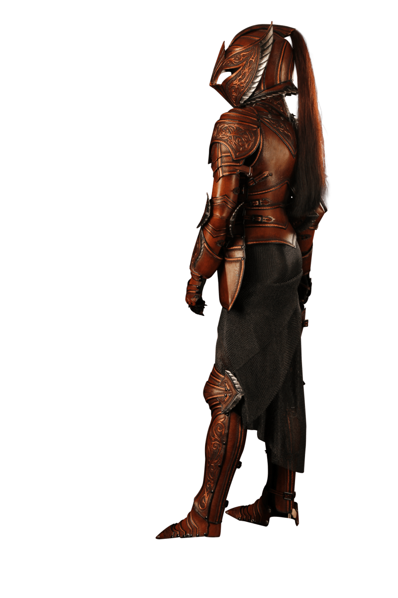 Gallery - Phoenix Armor - Custom Leather Armor - Prince Armory