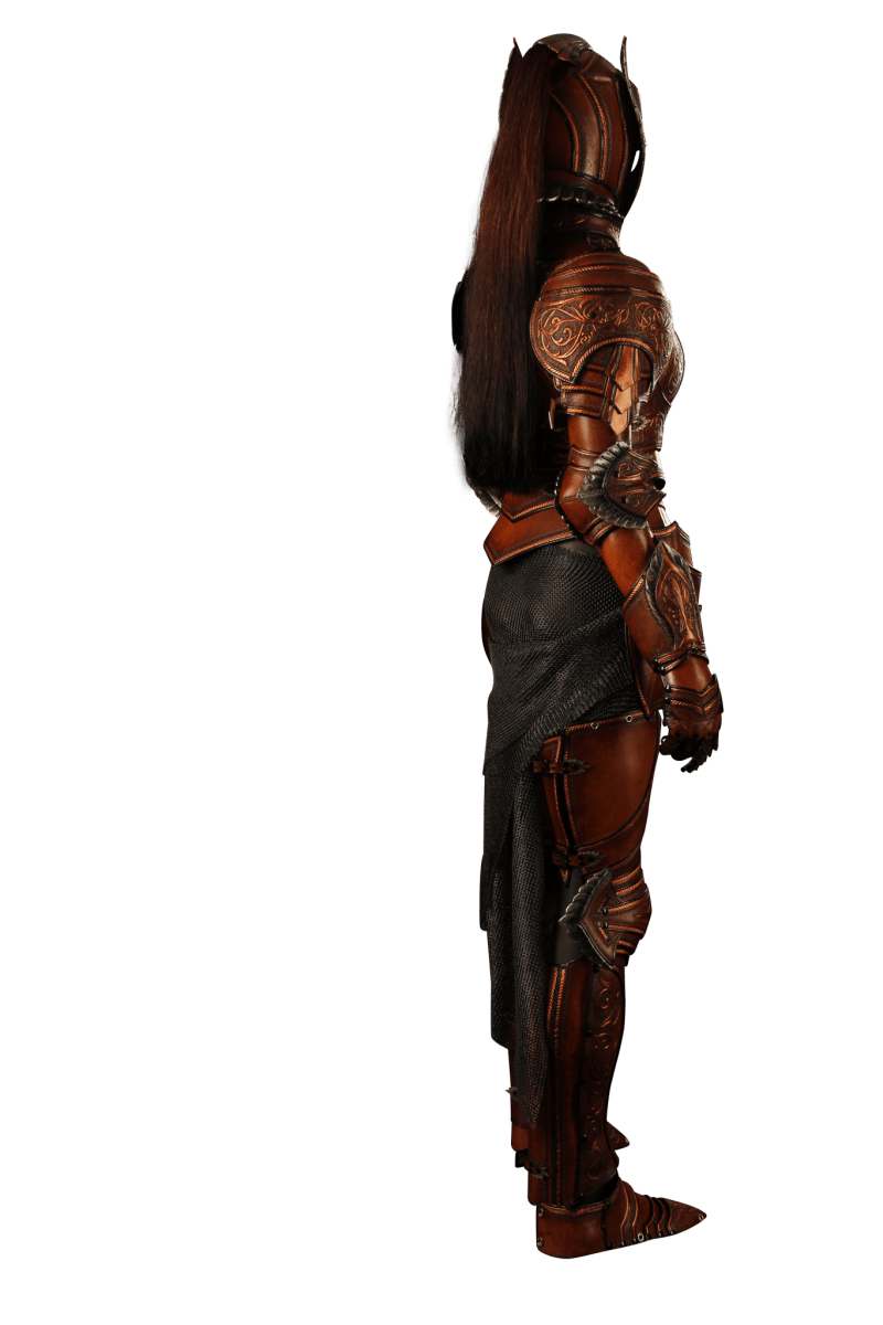 Gallery - Phoenix Armor - Custom Leather Armor - Prince Armory