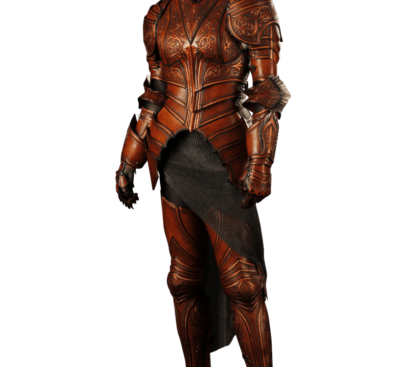 Gallery - Phoenix Armor - Custom Leather Armor - Prince Armory